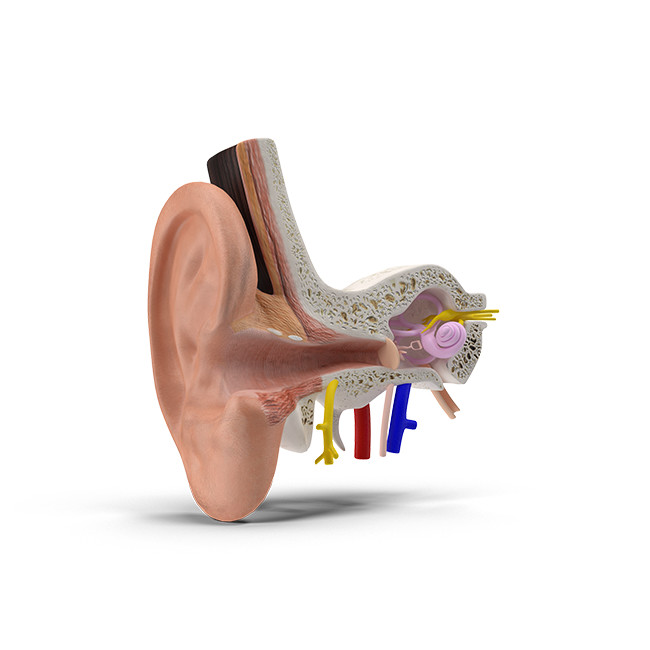 Ear Wax Management - Rainbow River Hearing & Balance